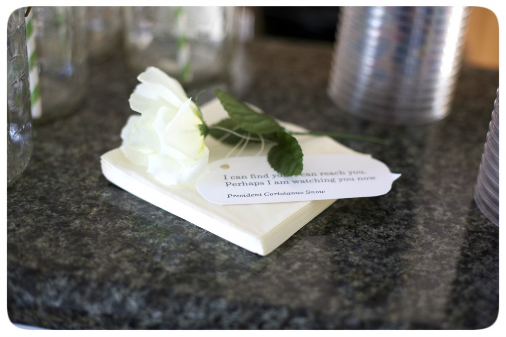 Hunger Games Themed Party